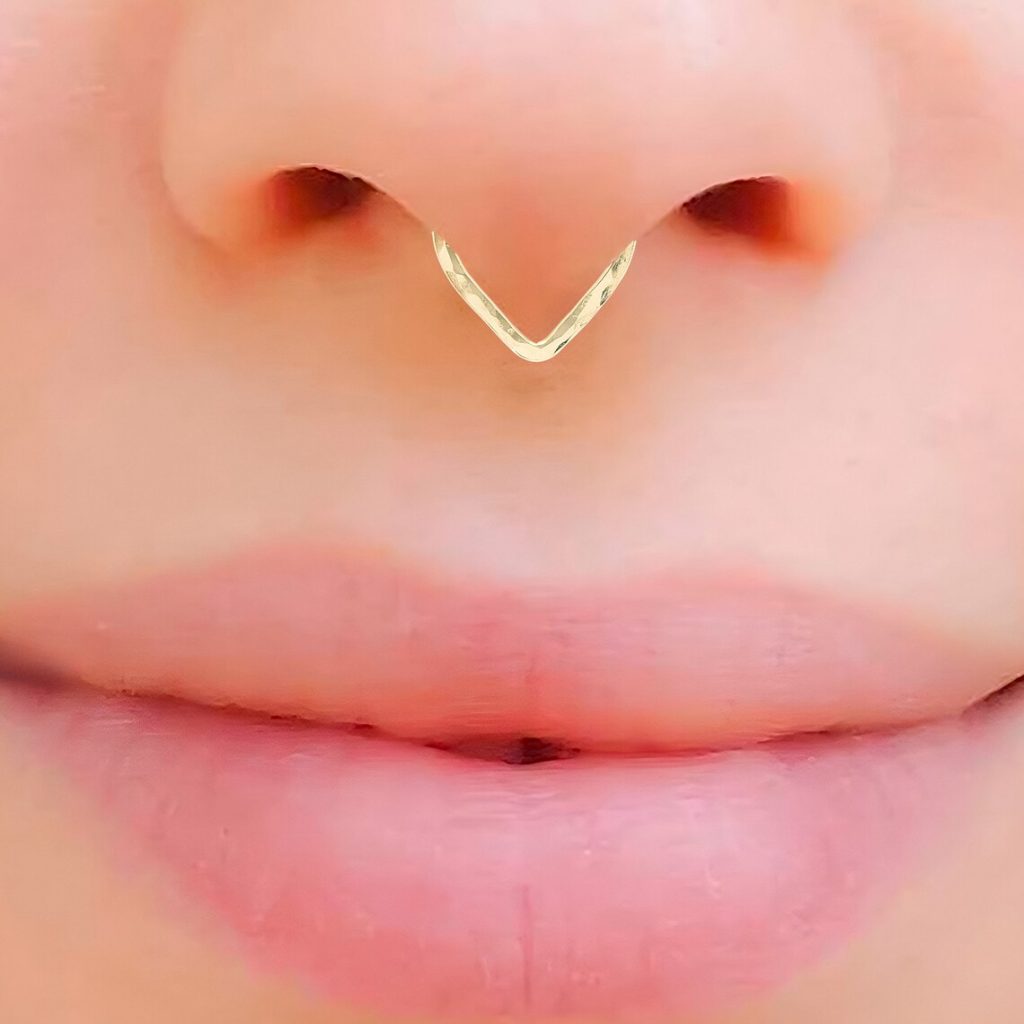 Septum Rings Archives - Page 2 of 2 - Moonli Designs